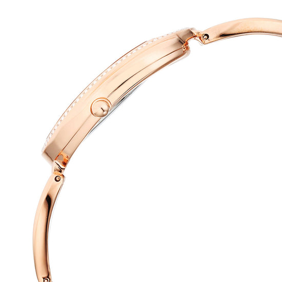 Titan Raga Delight Brown Dial Analog Stainless Steel Strap Watch for W ...